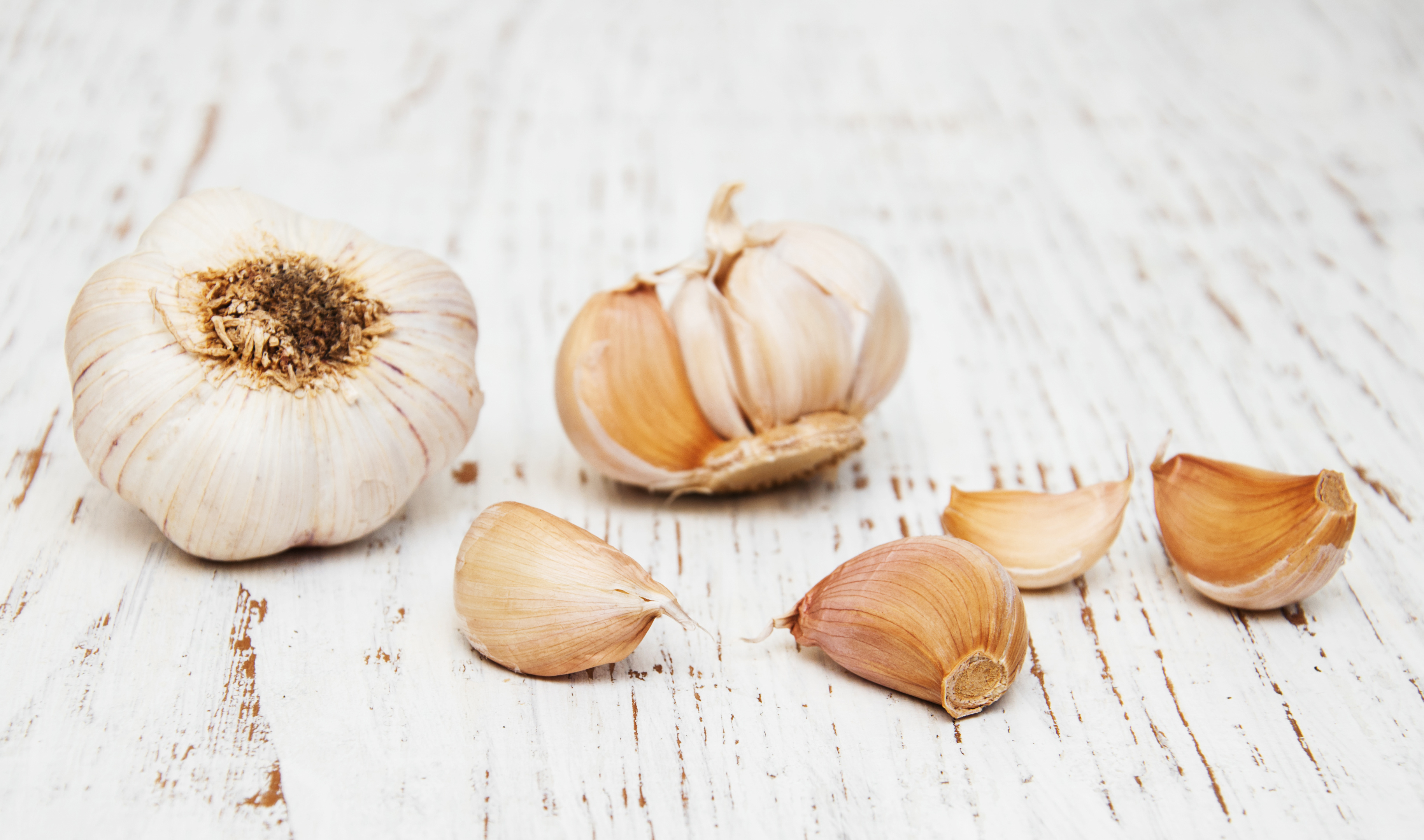 Experimento Del Diente De Ajo
